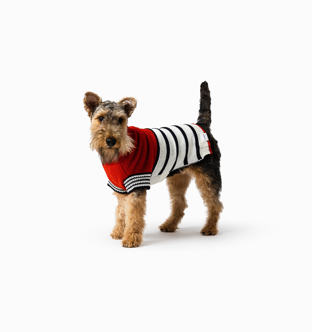 Emerson Dog Knit | Luxury Dog Knit Jumper | Pet Dog Clothing | Mr Woof