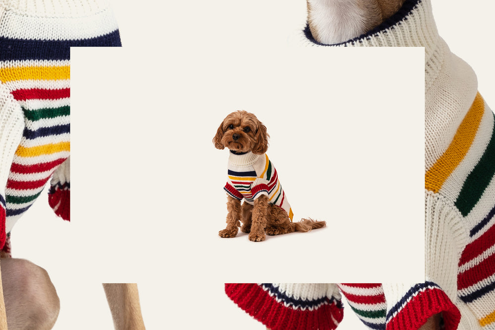 MISTER WOOF | Dog Clothing Pet Accessories | Shop Online Australia ...
