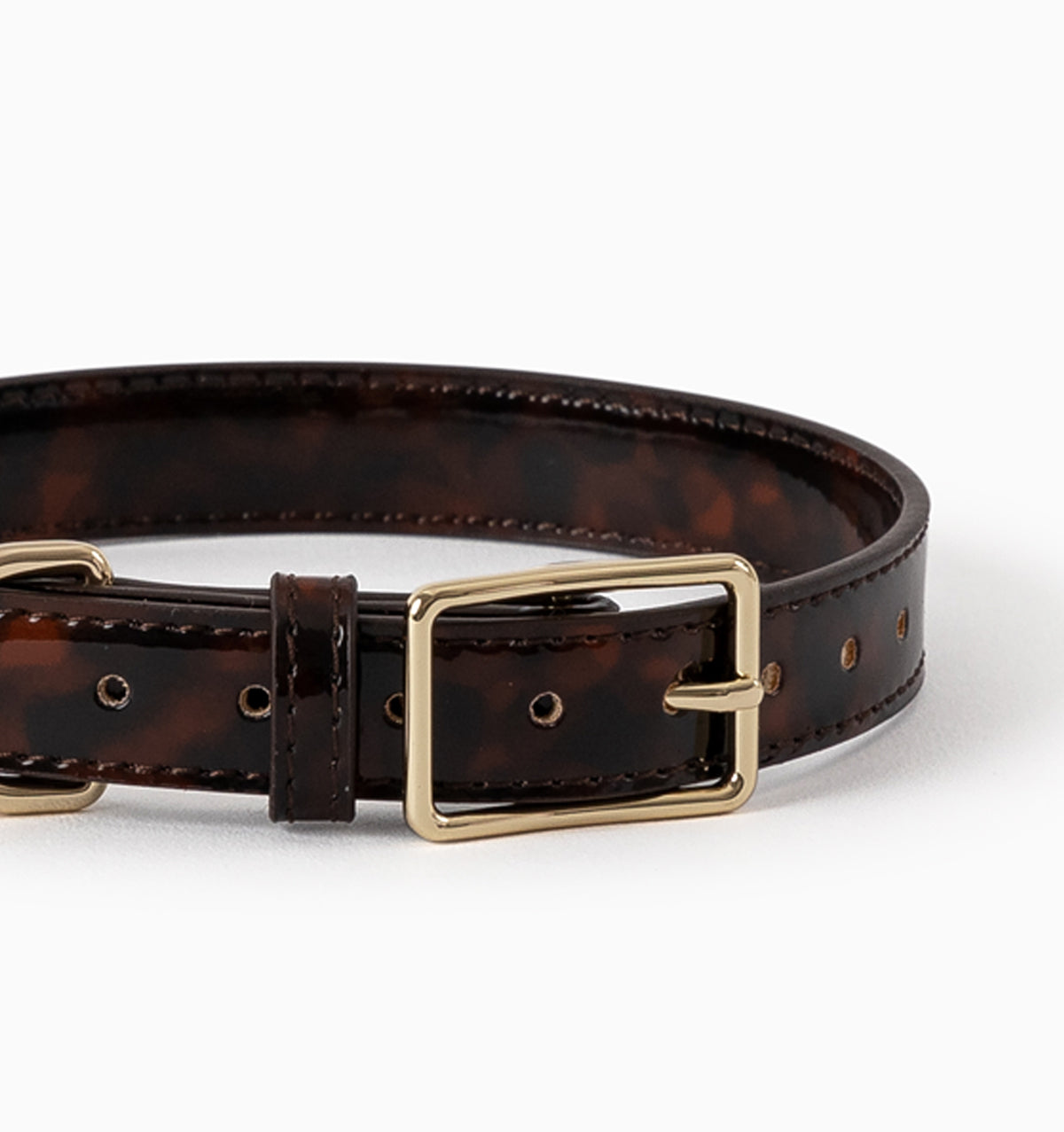 MISTER WOOF | Tortoiseshell Dog Collar | Shop Pet Collars Australia
