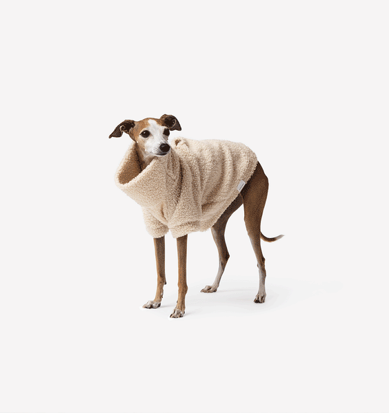 MR WOOF Best Sellers | Favourite Dog Products | Shop Online Australia ...