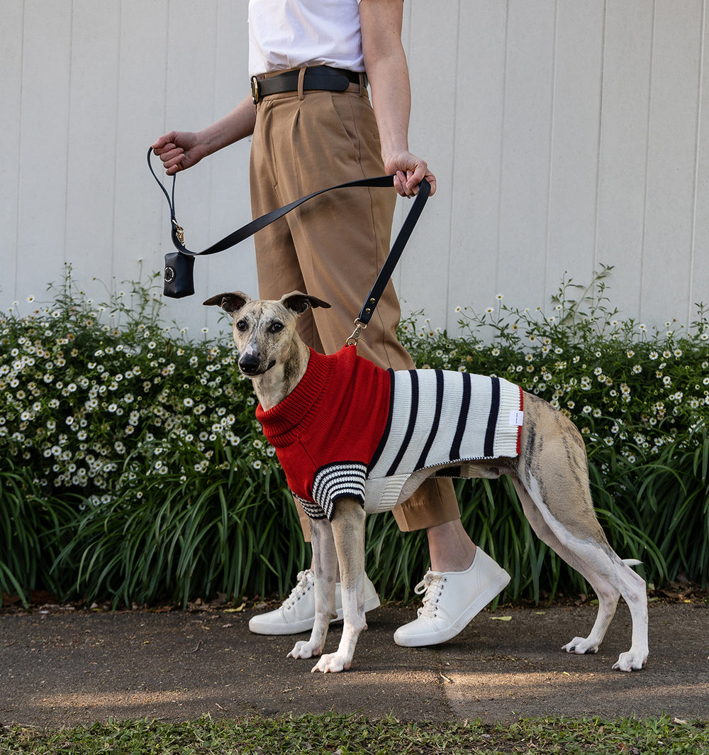 Emerson Dog Knit | Luxury Dog Knit Jumper | Pet Dog Clothing | Mr Woof